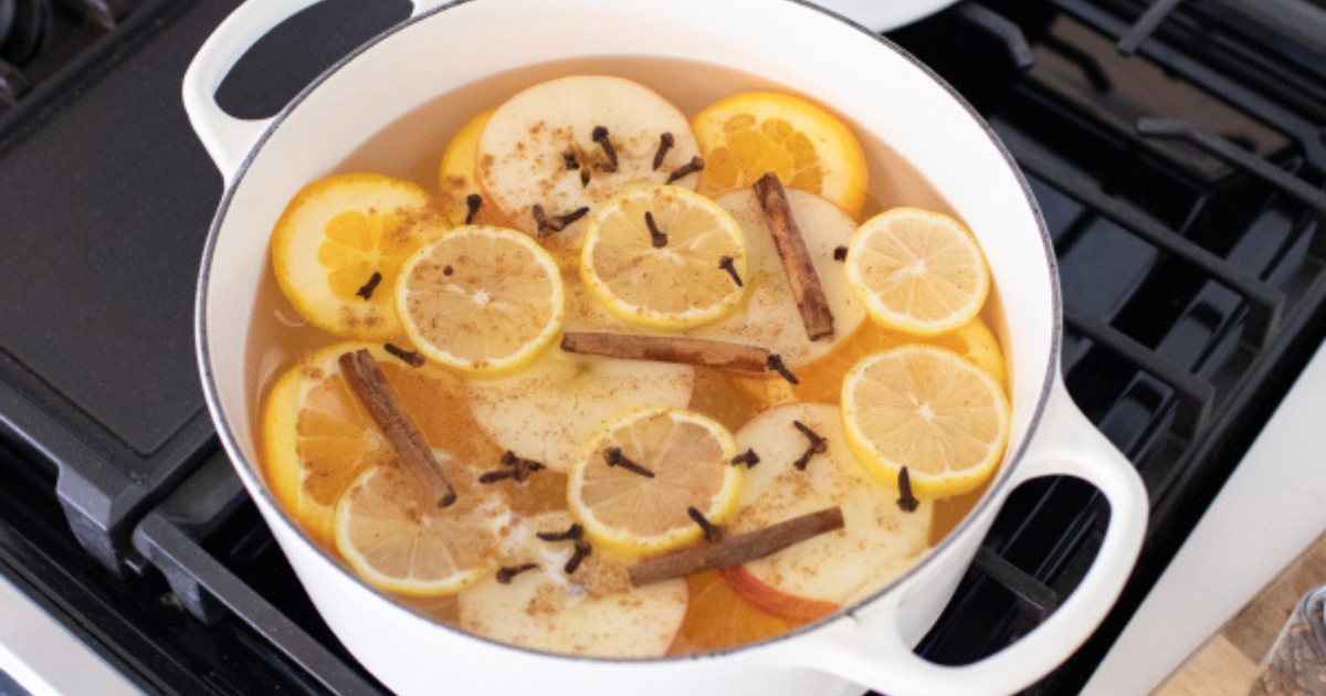 Fall Simmer Pot Recipe, The Best Smelling Recipe!